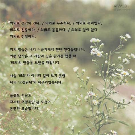 나태주 풀꽃 짧은 시 모음 오래보아야 예쁘다 네이버 블로그