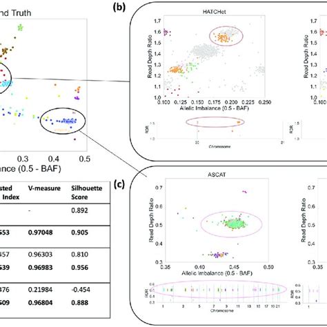 By Using Cnaviz Users Are Able To Produce More Accurate Segmentation Download Scientific