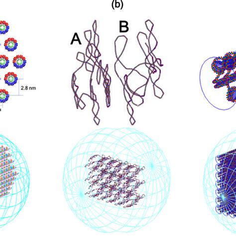 Different Dna Arrangements Used In This Work A Top Linear Plasmids Download Scientific