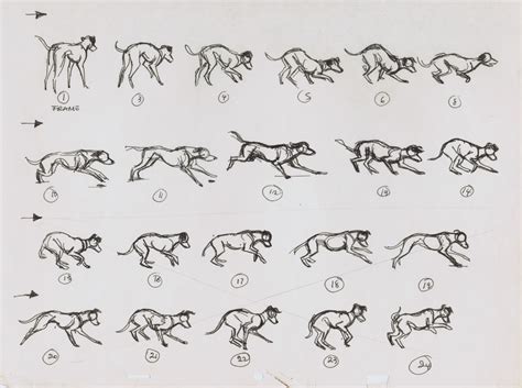 example full cycles animation resources art references and resources