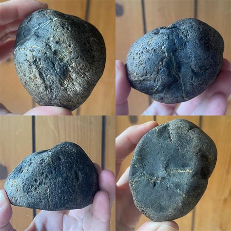 Is This Fossilized Bone Or Wood R Fossilid