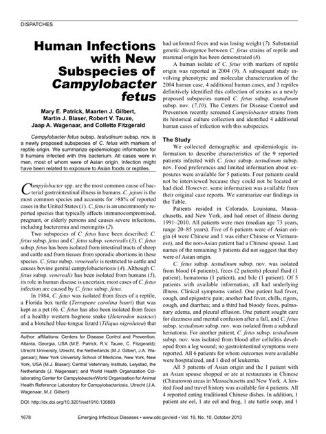 Pdf Human Infections With New Subspecies Of Campylobacter Fetus