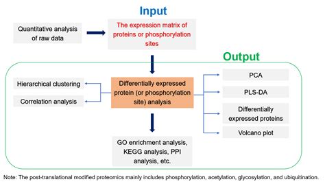 Biomedical Data Analysis Platform
