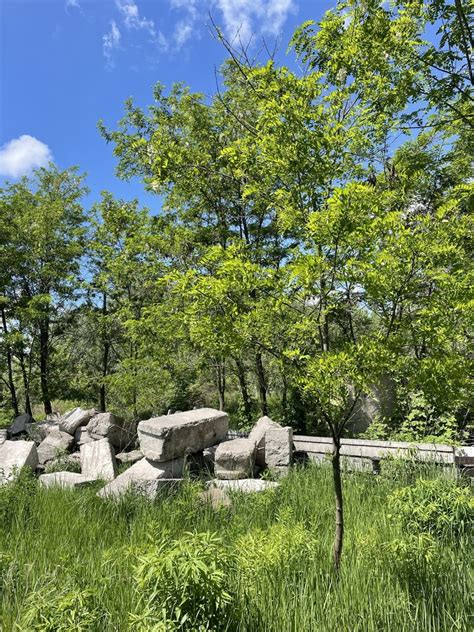 Продам земельну ділянку 20 000 Продаж землі Київ на Olx