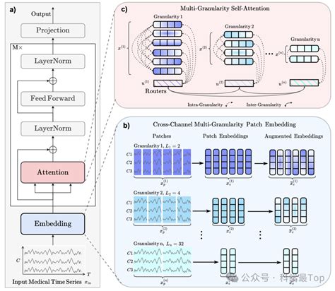 时序论文41 Medformer：基于多粒度patch的时序分类模型medformer用于医学时间序列分类的多粒度修补transformer Csdn博客