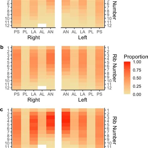 Proportion Of Rib Fractures By Rib Number Rib Cage Side And