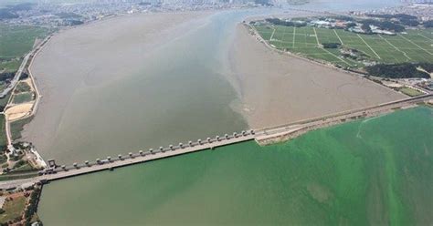 충남도 금강하구 생태계 복원에 머리 맞대