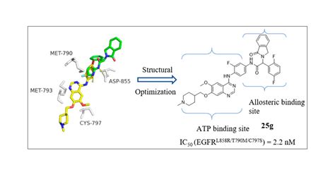 Selective Covalent Targeting Of Mutated Egfr T790m With 60 Off