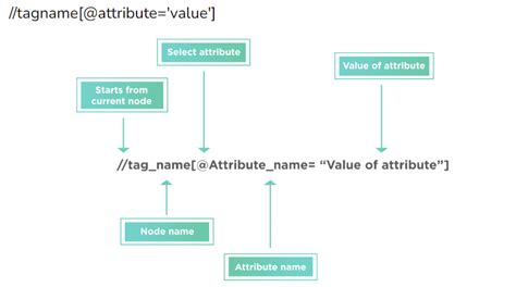 How To Find Web Element By Xpath Ncc Ant