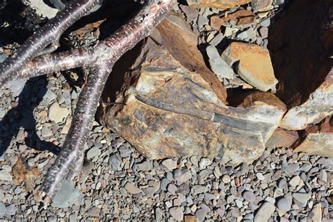 Fossil Hunting With Eldon George