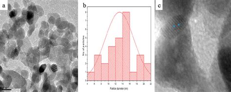 A Tem Micrograph B Particle Size Distribution Histogram And C