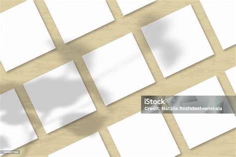 노란색 벽 배경에 흰색 질감 종이의 여러 사각형 시트 자연채광은 이국적인 식물의 그림자를 투사합니다 플랫 레이 상단 보기 0명에 대한 스톡 벡터 아트 및 기타 이미지