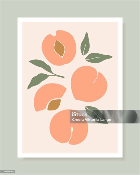 복숭아 과일이있는 세련된 벡터 커버 디자인 엽서 인쇄 포스터 브로셔 등을 위한 트렌디한 손으로 그린 복숭아와 잎의 구성 벡터 그림입니다 과일에 대한 스톡 벡터 아트 및 기타