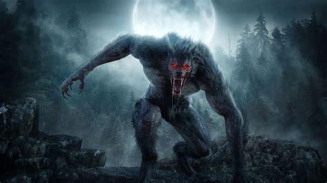 Why Are Vampires And Werewolves Enemies