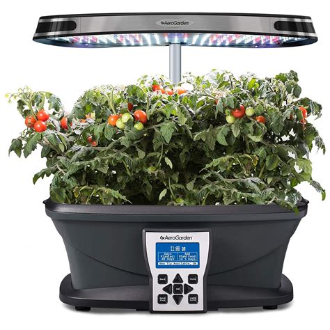 5 Best Aerogarden Models Reviewed May 2021