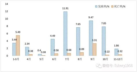 福建对虾产业发展形势分析 中国水产流通与加工协会