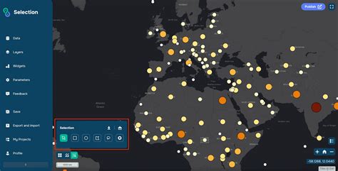 Selection Widget In Gis