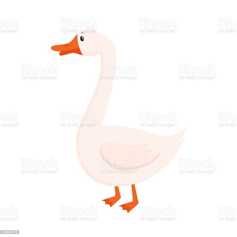 귀 엽 고 재미 있는 백색 농장 거 위 고립 된 만화 벡터 일러스트 레이 션 거위 새에 대한 스톡 벡터 아트 및 기타 이미지 거위 새 가금류 가득 찬 Istock