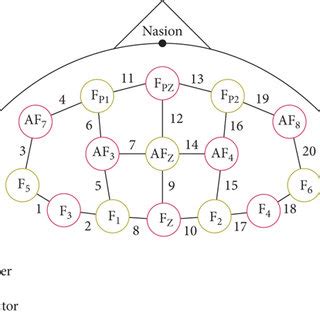 Task Procedures And Materials A The Color Word Matching Stroop Task Download Scientific