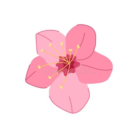 Nature Sakura Cherry Blossom Cartoon Vector Illustration Stock