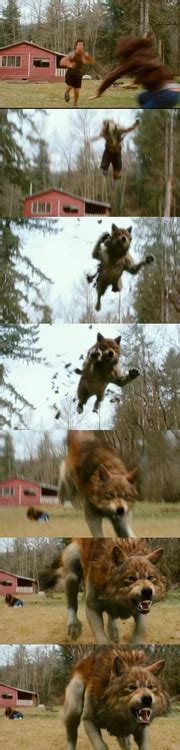 Shape Shifter Twilight Chronicles Wikia Fandom