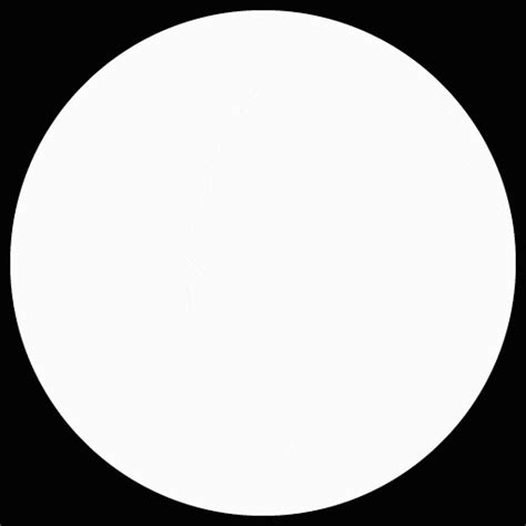 Ccie Enterprise Infrastructure Training Netmet Solutions