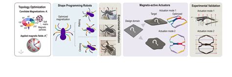 Home Xiaojia Shelly Zhang