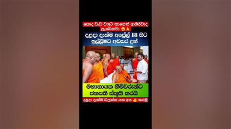 හැමෝටම දළදා සමිදු වැදපුදා ගන්න අවස්ථාවක් 😍🙏 Akd Npp Cleansrilanka Malimawa Youtube