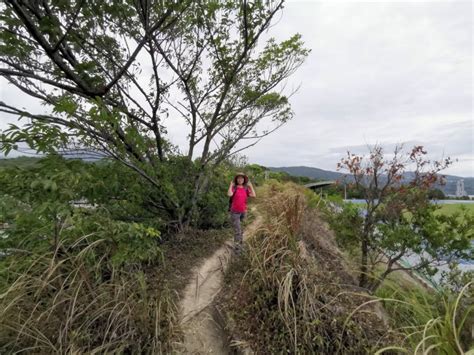 捷運唭哩岸站東華公園奇岩山唭哩岸山軍艦岩下陽明大學登山口 健行筆記