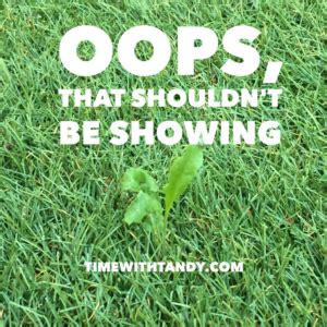 Oops That Shouldnt Be Showing Time With Tandy