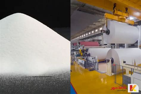 تولید کاغذ بدون قطع درخت الگویی نوین برای حفاظت از محیط زیست شهر کاغذ و مقوا