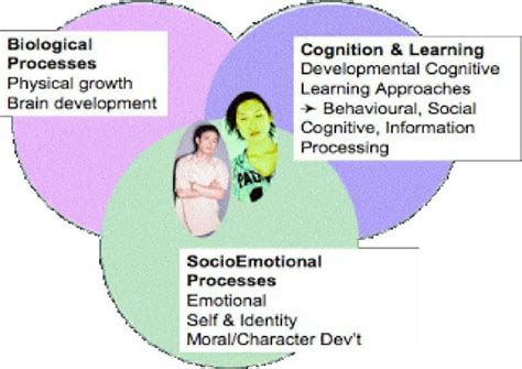 Bioecological Model Of Human Development Educational Learning Theories