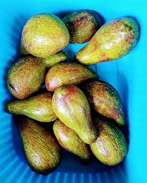 Agriculture Vegetables Fruits Breakfast 🔥🧤🥑🥑🥑🙏🏼🔥🔥🔥 Daniel Kubis