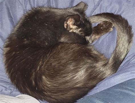 Lil Mumz Now Ex Feral Is Going To Be Spending Her First Christmas