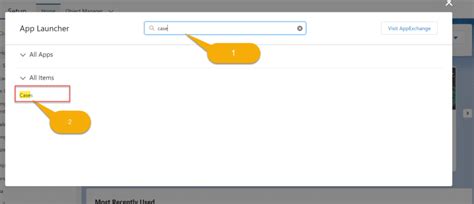 Salesforce Cases A Comprehensive Guide
