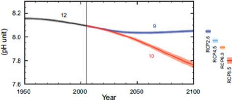 Projections For Global Mean Ocean Surface Ph Download Scientific Diagram