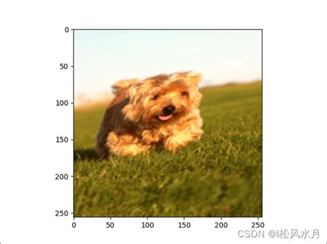 Pytorch结合albumentations在图像分割中的应用albumentations Oneof Csdn博客