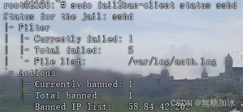 ubuntu debian防ssh爆破 debian9 0的ssh被人恶意攻击怎么办 csdn博客