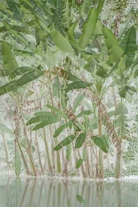 炎炎夏日，让这组作品为你送来一丝清凉 摄影世界 花瓣网