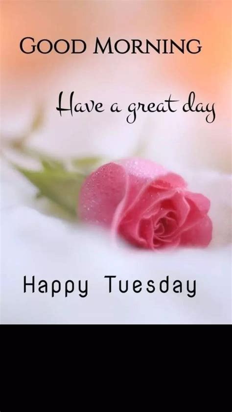 Tuesday Morning