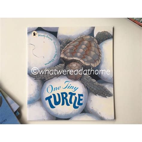 One Tiny Turtle The Nature Storybooks By Nicola Davies Shopee Malaysia