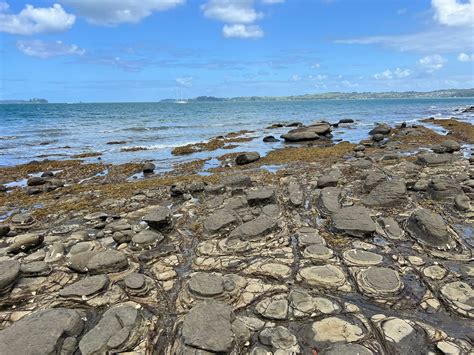 Help With Modelling This Grasshopper Mcneel Forum