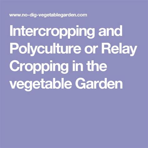 Intercropping And Polyculture Or Relay Cropping In The Vegetable Garden