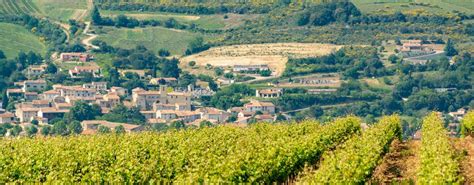 Excursions And Day Trips In Limoux Musement