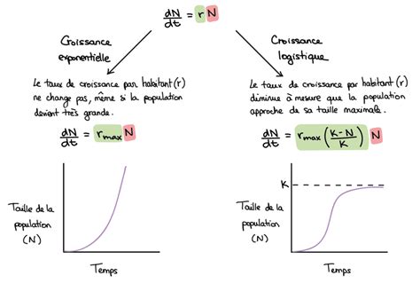 Comment Utiliser La Fonction Recherche X Dans Excel