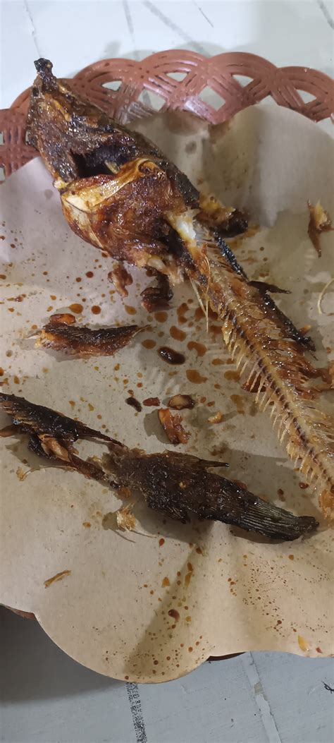 Simulasi Object Detection Dataset And Pre Trained Model By Dwi Restu