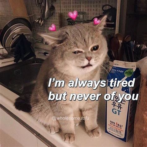 Funny Cute Pictures To Send To Your Girlfriend