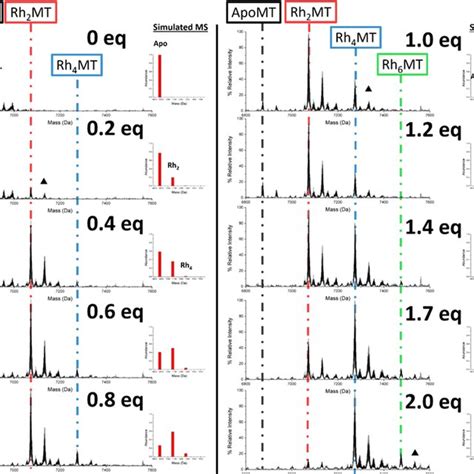 Esi Mass Spectral Data Recorded During The Titration Of 20 μm Apo βαmt