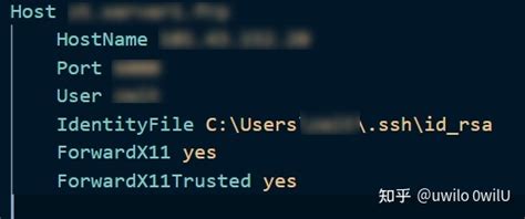 windows vs code remote x11 cant get display while connecting to remote server stack overflow