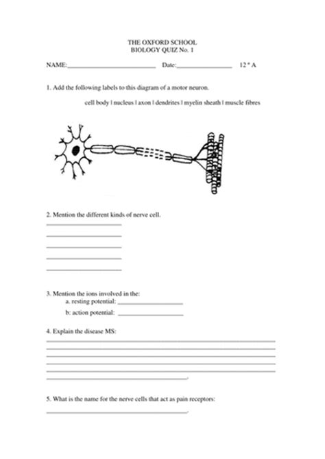 Nervous System Teaching Resources